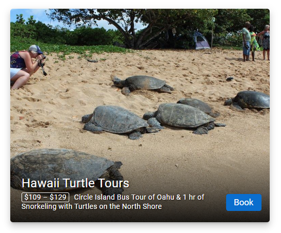 HawaiiTurtleTours - Hanauma Bay State Park
